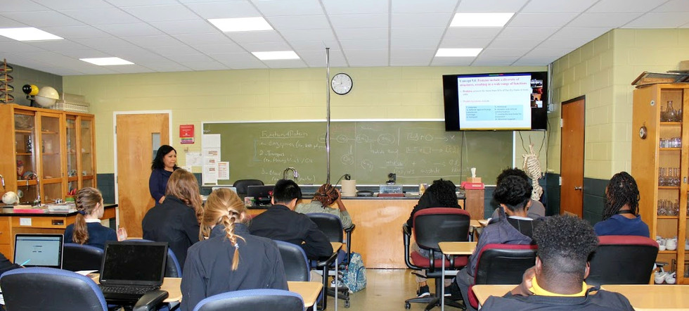 Welcome | Unionsprings