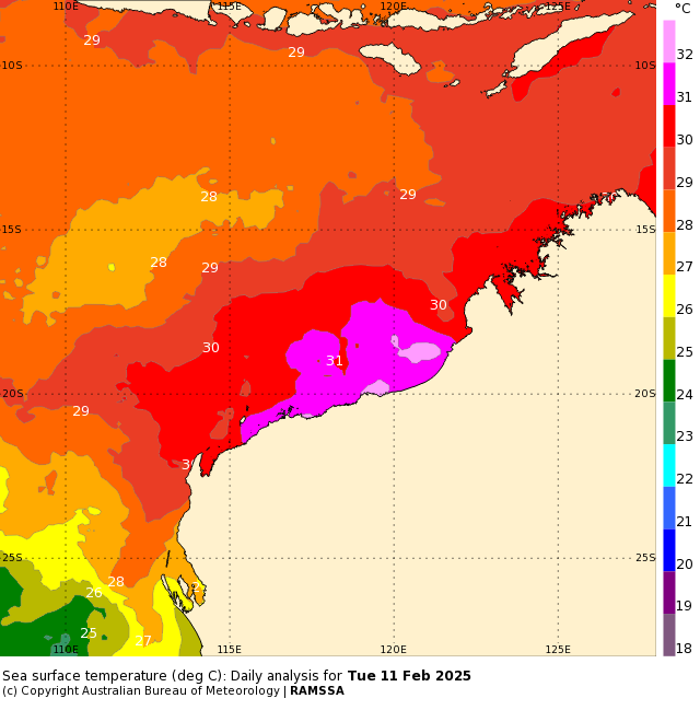 TC Zelia’s Power: More Energy Than Australia Uses in a Year!
