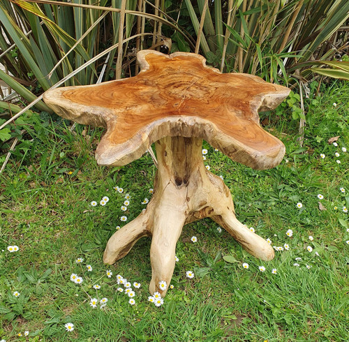 Teak Root Side Table | home-decor
