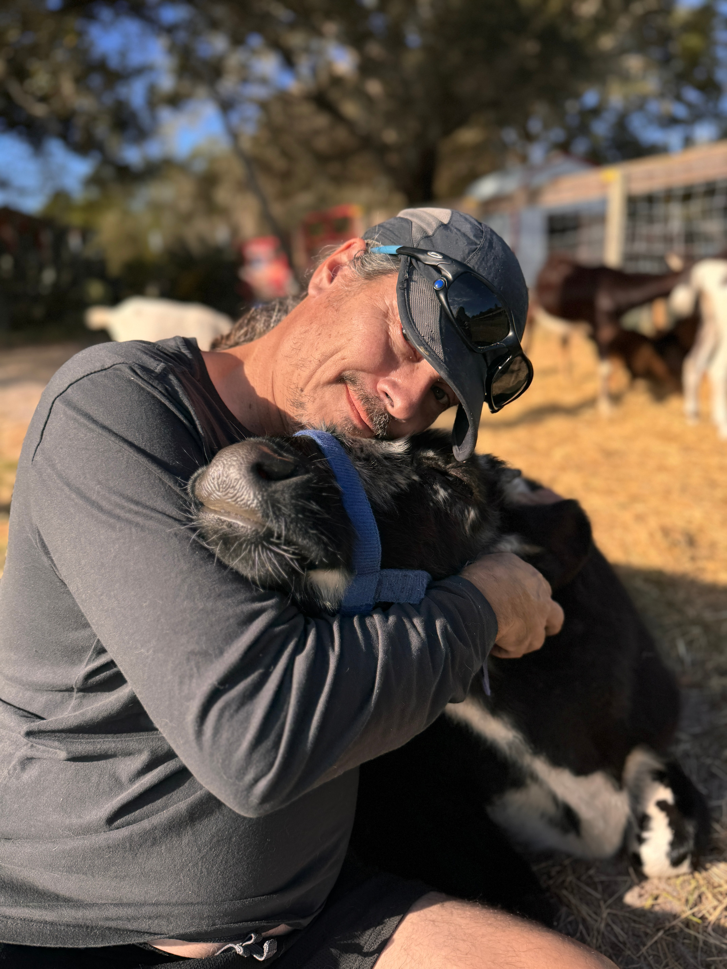 Cow Cuddles and Petting Farm Tour | Bell Family Farm