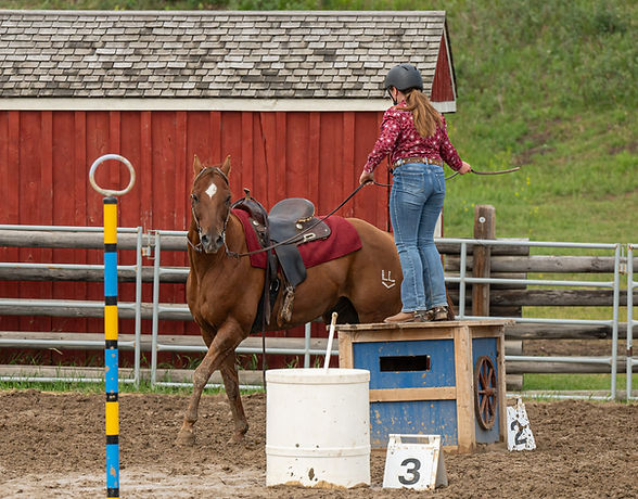 Home | Extreme Cowboy Alberta