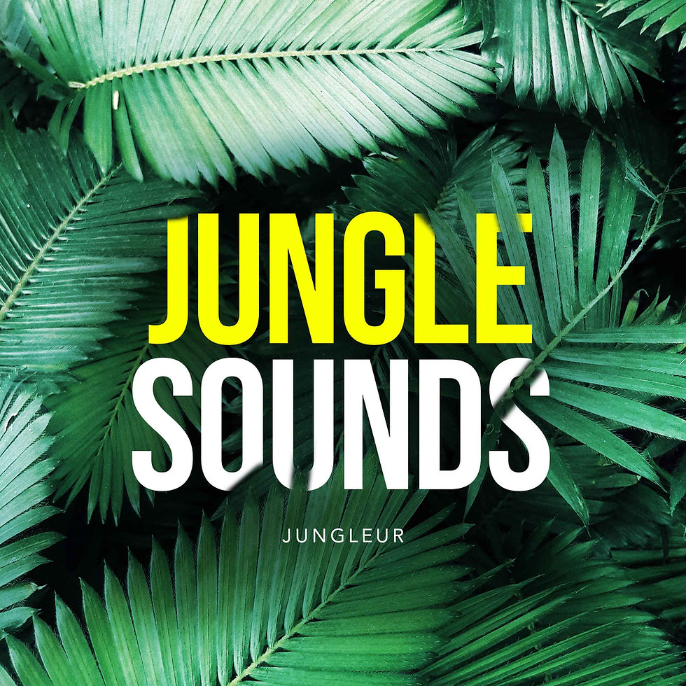 Artwork | Patrick Fowler