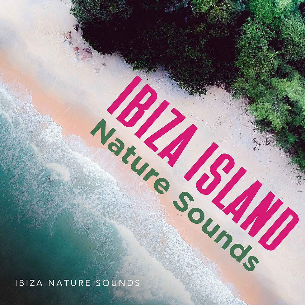 Artwork | Patrick Fowler