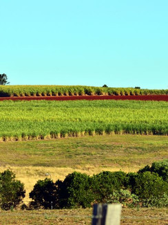 History Museums Country Towns | Experience Childers | Childers