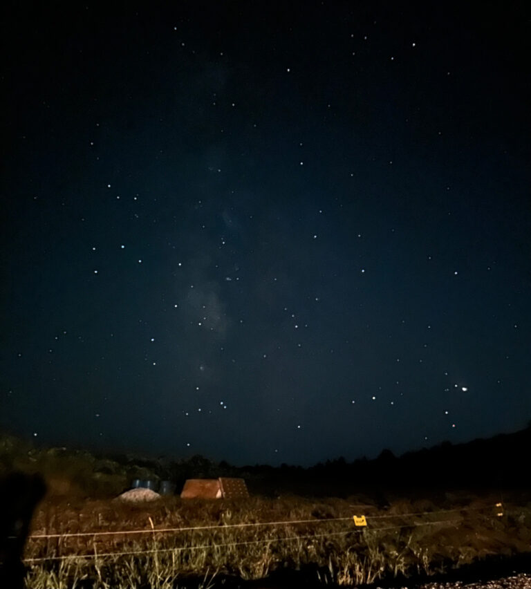 【forenta-CHIBA】海のまち館山の森で広がる空を仰ぎ、夜には降りそそぐ星を眺めながら過ごす贅沢な時間