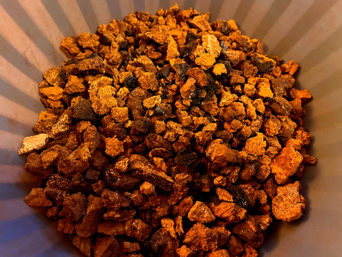 Alaskan Chaga (Winter Harvest) | Denali Chaga