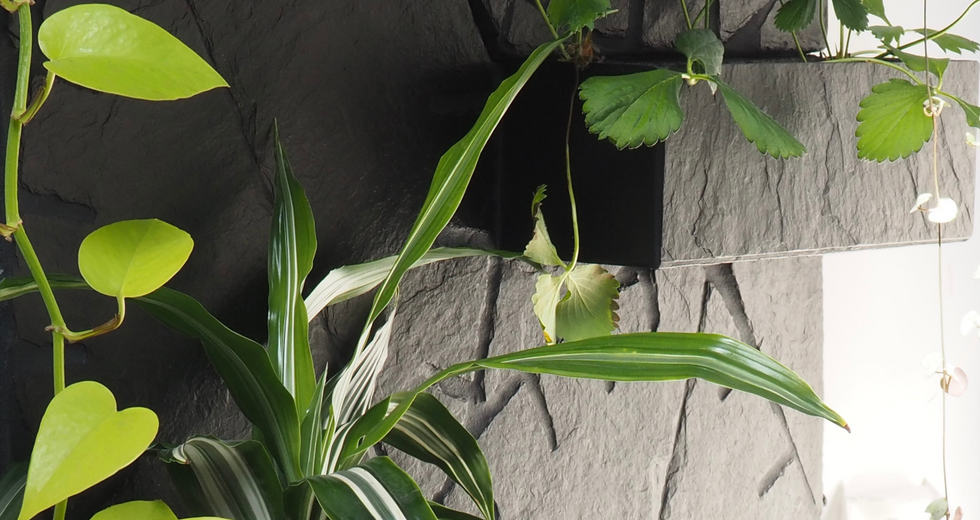 Ardoise Design | Le Trèfle Bleu