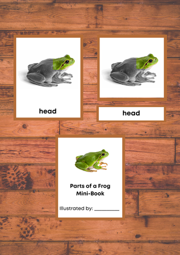 Parts of a Frog (3-part cards) | Montessori Academy