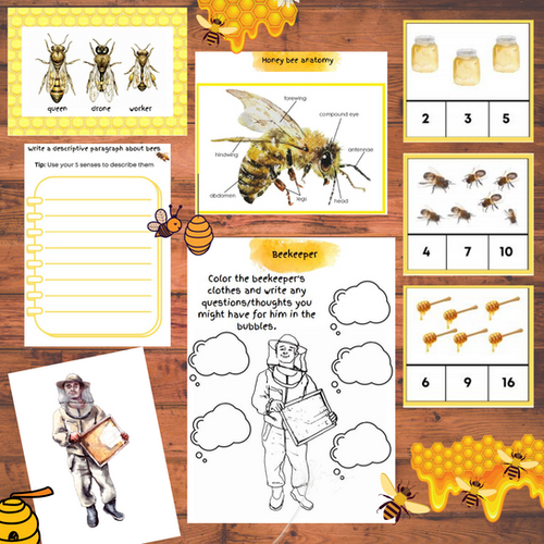 Honeybees Unit Study | Montessori Academy