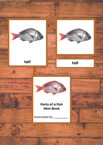 Parts of a Fish (3-part cards) | Montessori Academy