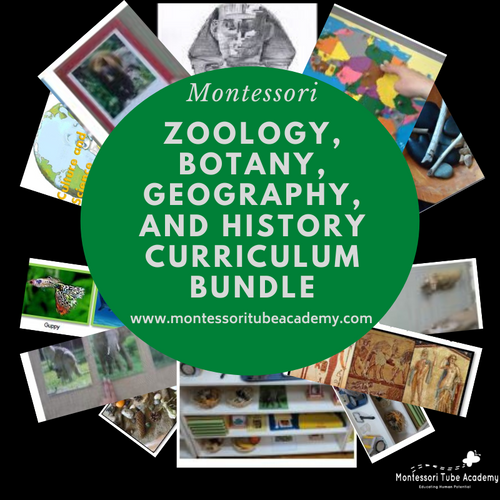Zoology, Botany, Geography, and History curriculum bundle | Montessori ...