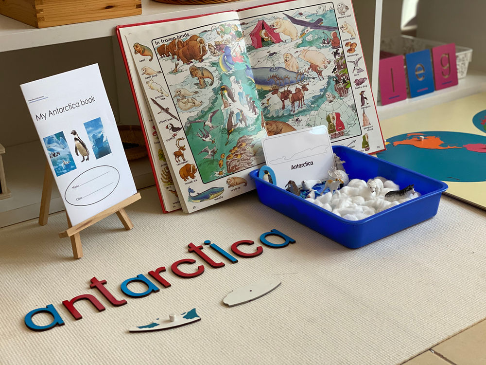 Continents Activities (Antarctica)