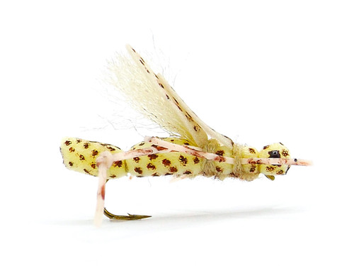 CFA SPOTTED CLOUD HOPPER | Colorado Fly Angler