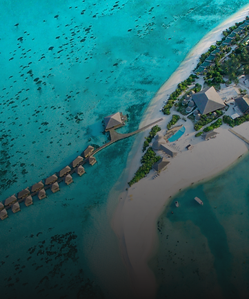 Resort Collection | The Cocoon Collection