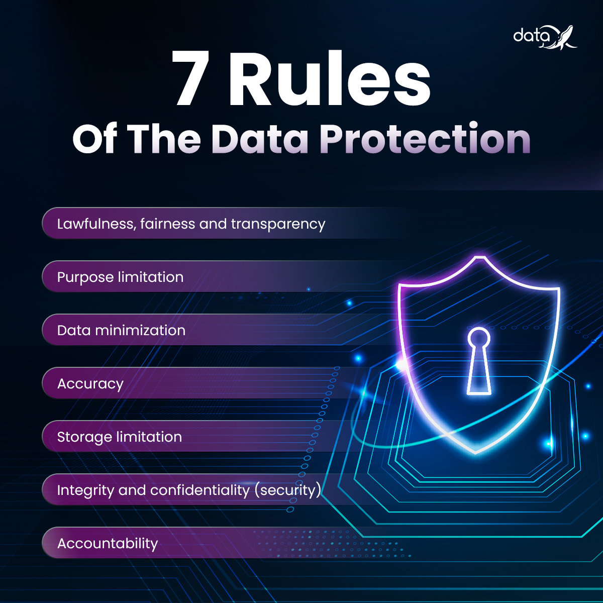 7 rules of the data protection