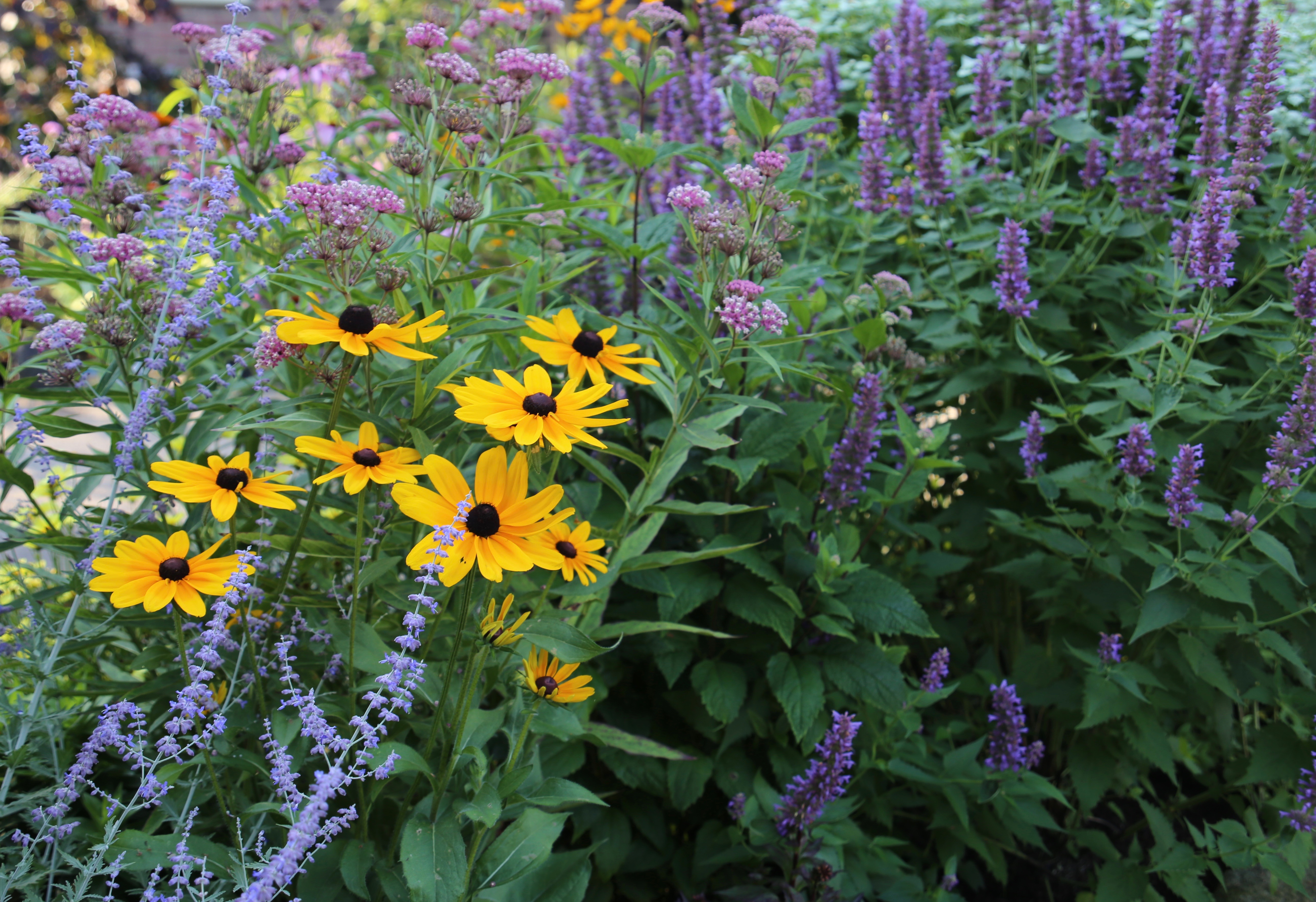 Cleveland Pollinator and Native Plant Symposium