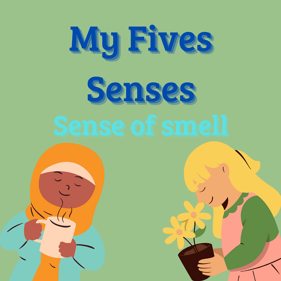 My five senses