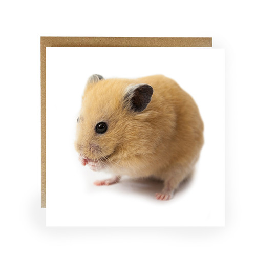 Hamster card - cute hamster greeting card | Alexsharp