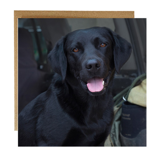 Black labrador greeting card - dog birthday card | Alexsharp