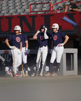 HOME | areacodebaseball