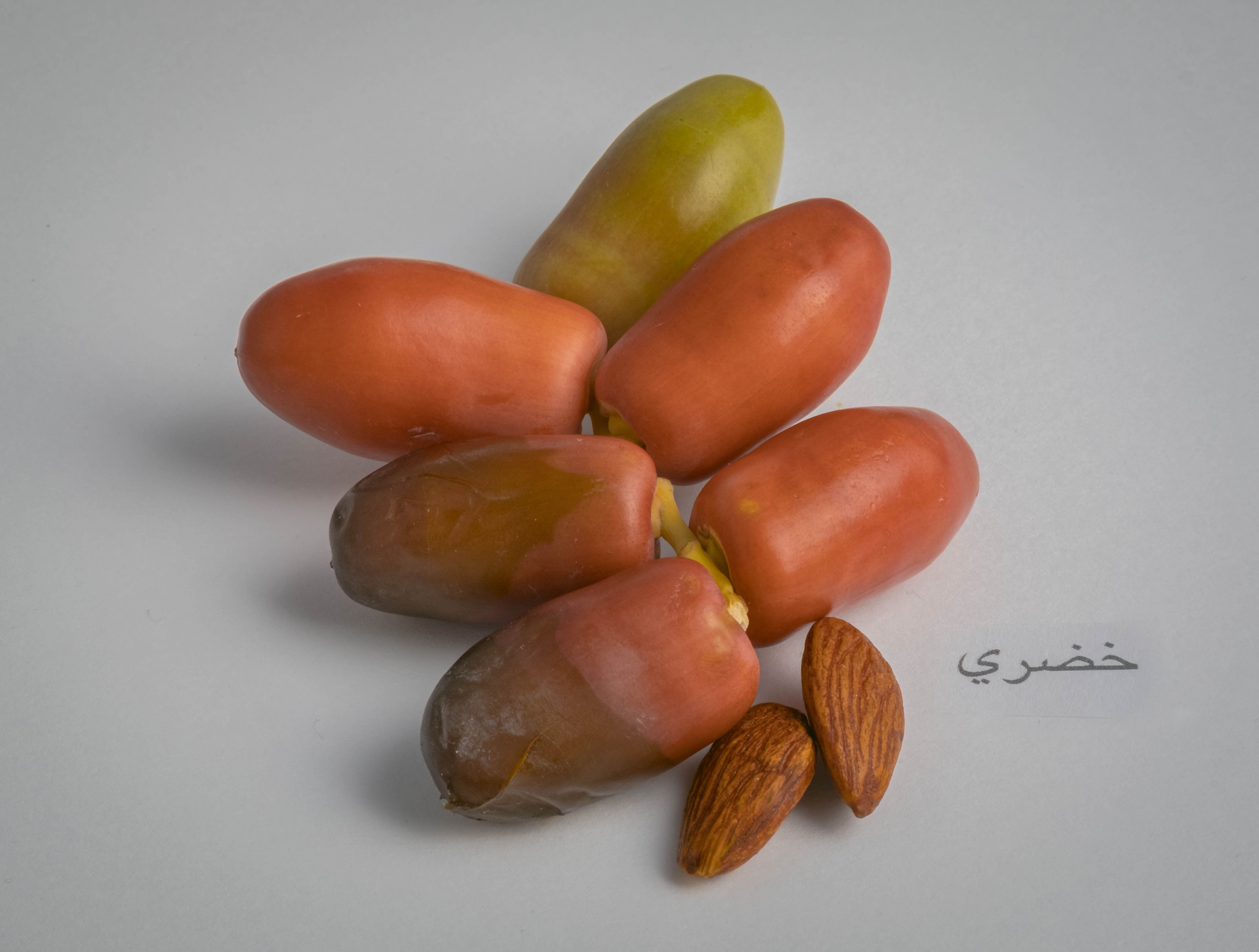 Khudri - Dates Images Collection Saudi Arabia