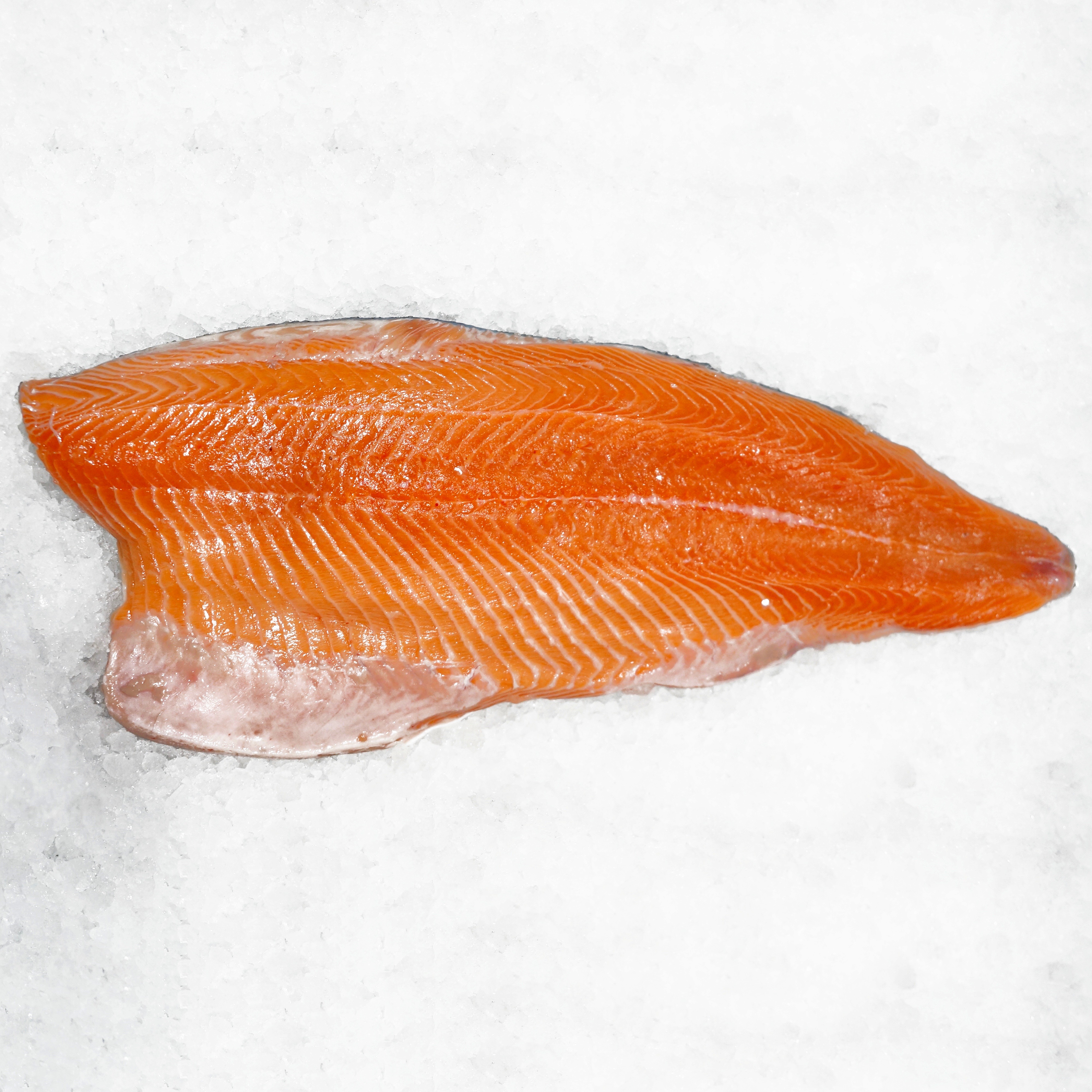 Patagonian Sea | Fresh Fish | Delivery