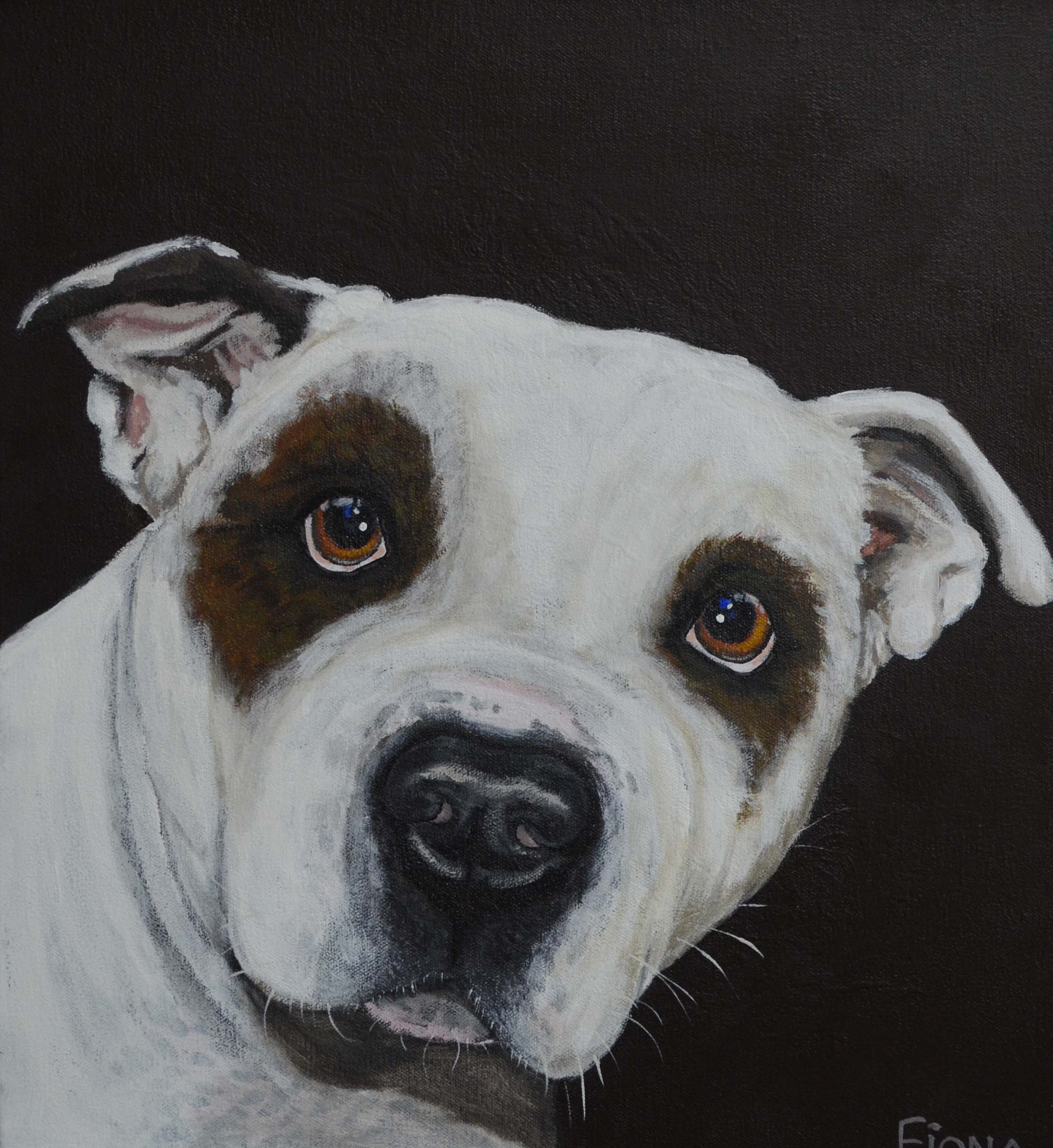 Fiona Groom Artist Archive