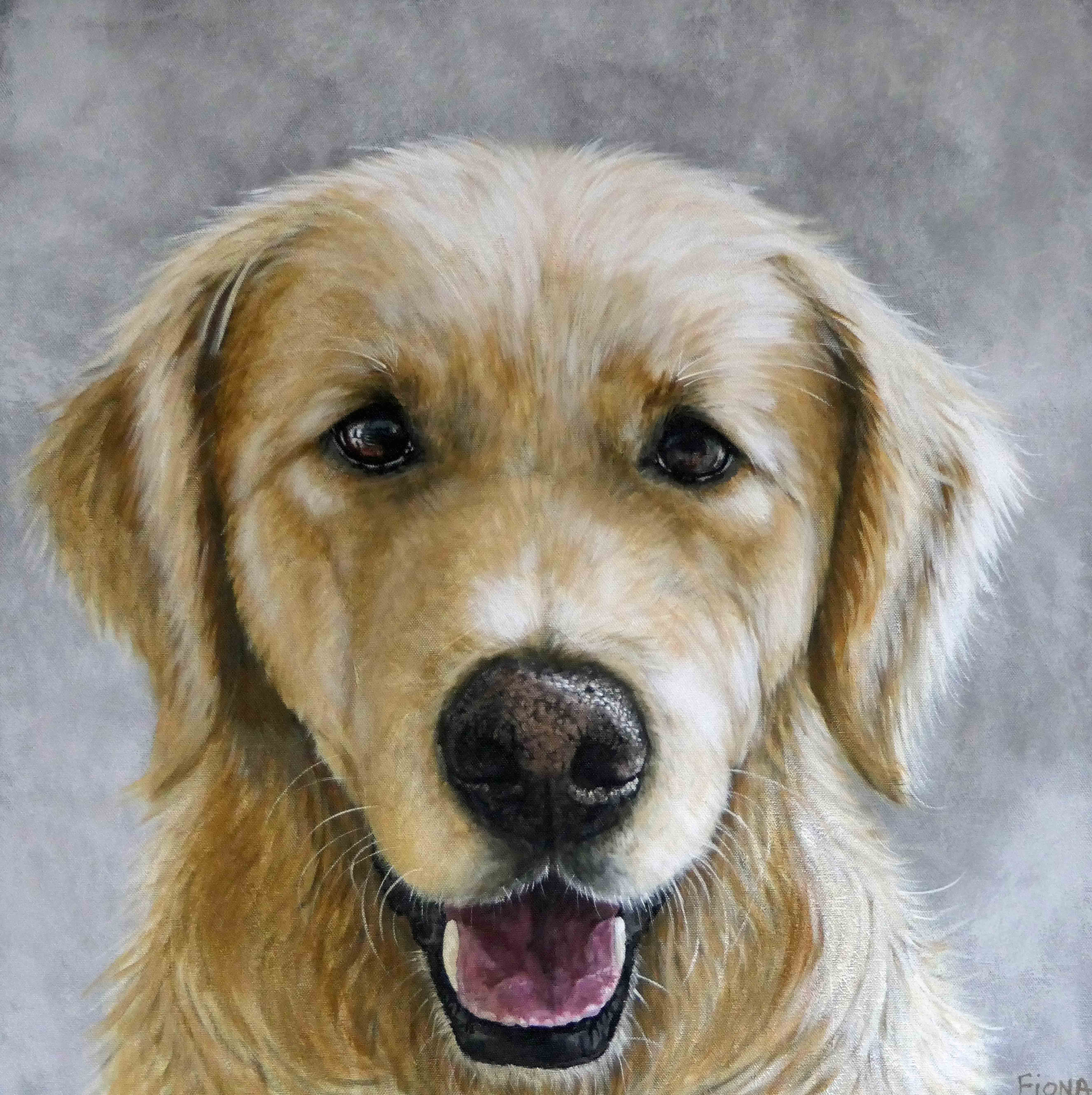 Fiona Groom Artist Archive