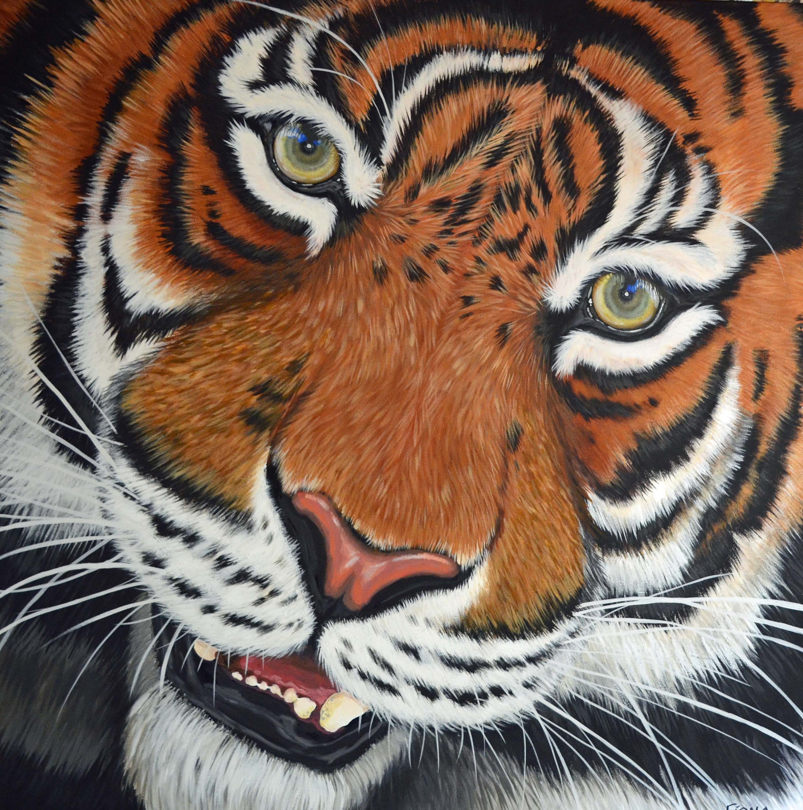 Fiona Groom Artist Archive