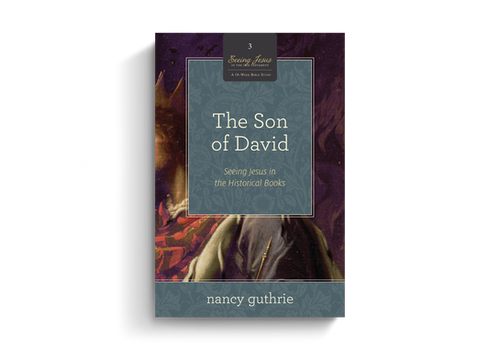 The Son of David: Seeing Jesus in the Historical Books | Reformed ...