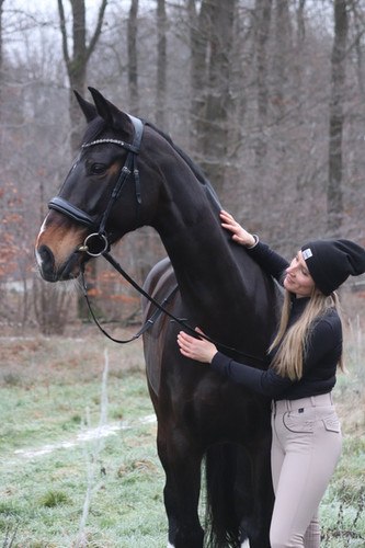 gasselino.universo - flachgenäht - ohne Sperrriemen | Gasselino