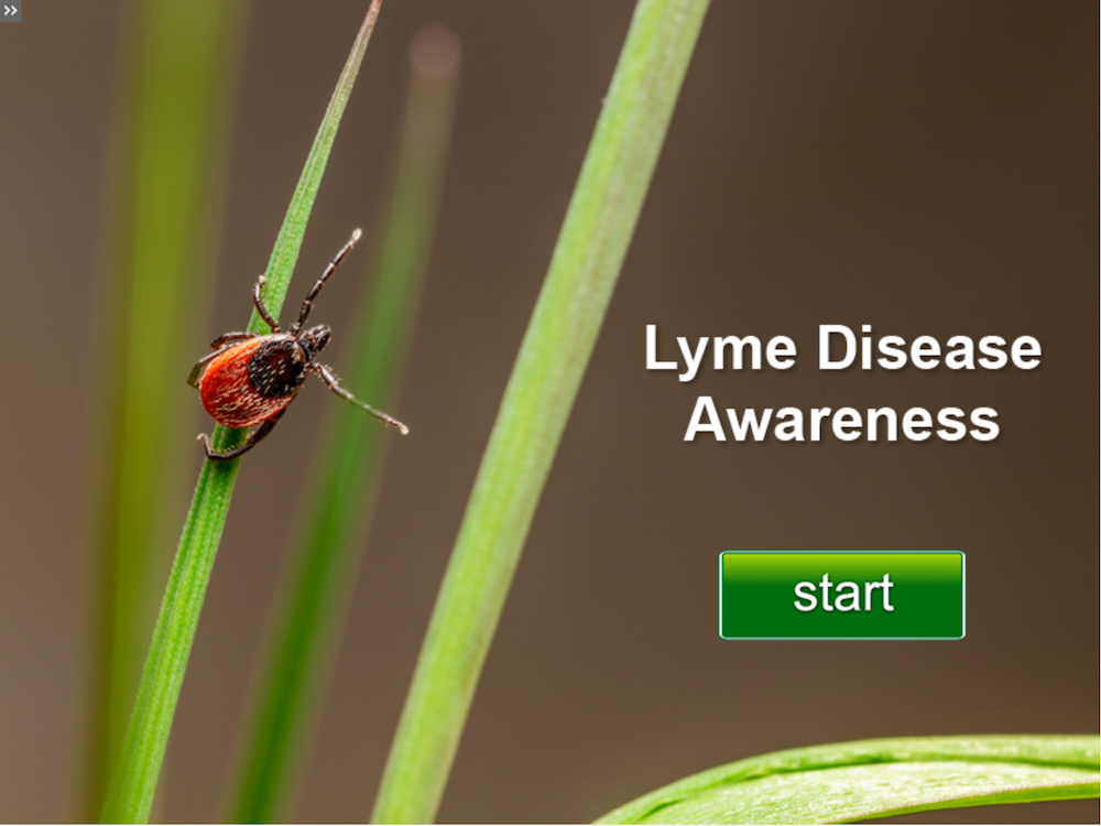 Lyme Disease Awareness e-learning | dse-scotland