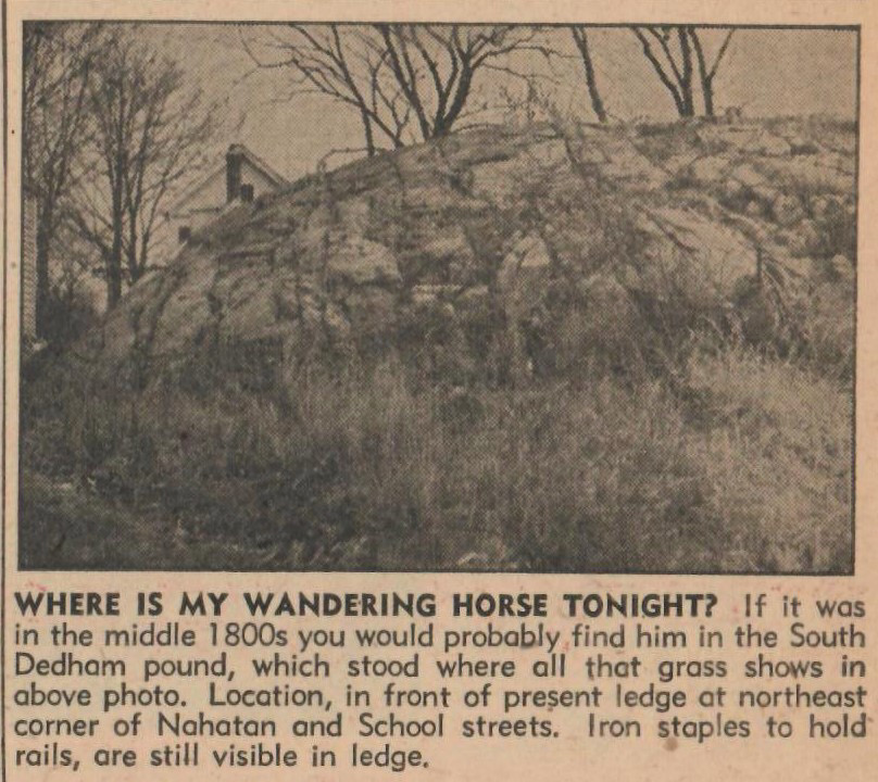 The Town Pound Keeper