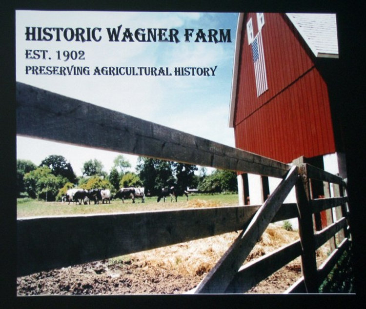 Wagner Farm Program Pictures!