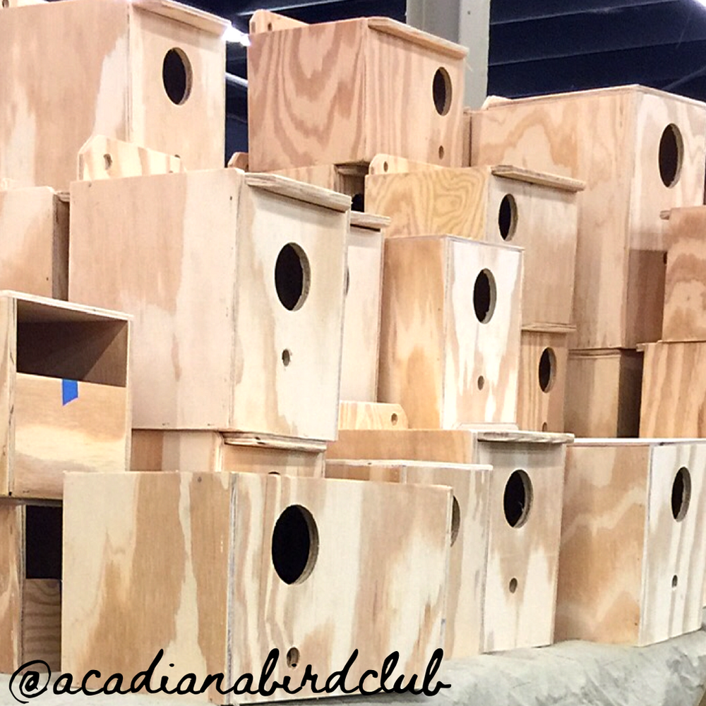 Nest Boxes of All Sizes! - and what you need to know BEFORE you decide ...