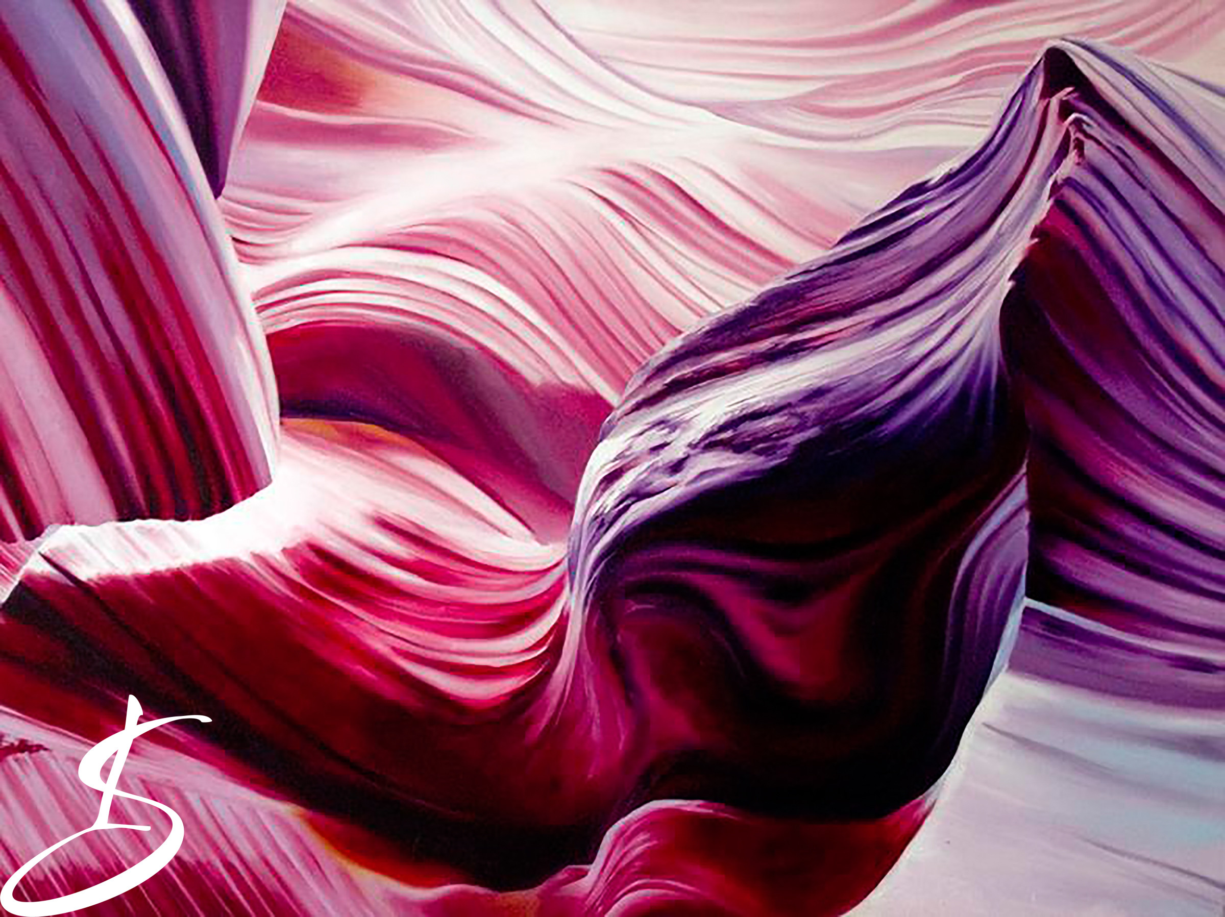 Lori Schember | Anxious Tomato