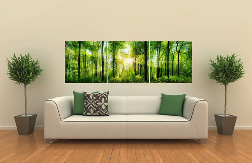 Canvas Wall Art Decor - 24x24 3 Piece Set, 24x72 Total - Magical Forest