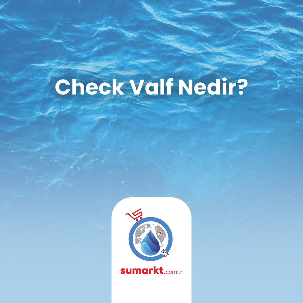 Check Valf Nedir?