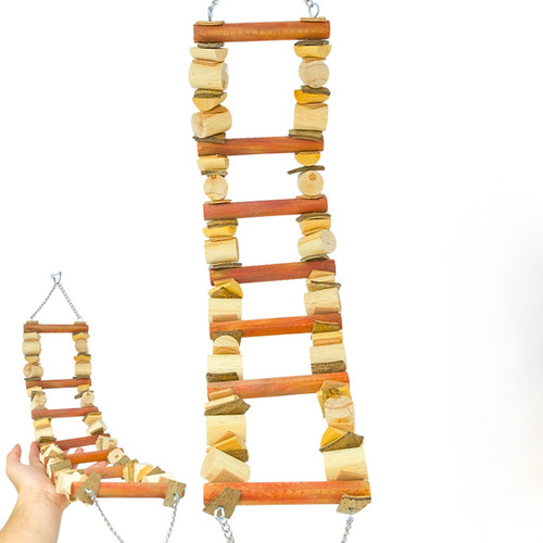 Coco Chew Ladder | Florida Parrot