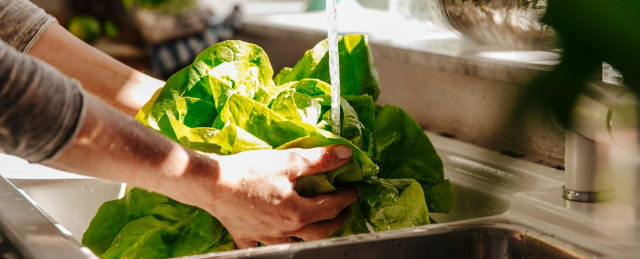 Study Shows How Microplastics Can Easily Climb The Food Chain. Should ...