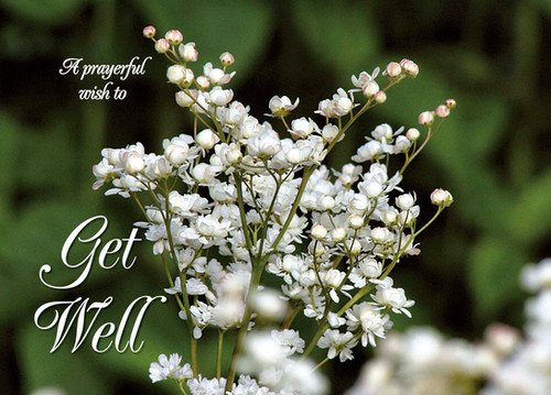 Get Well | st-patricks