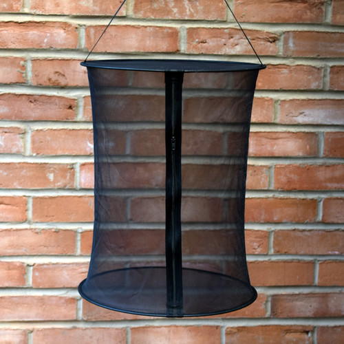 Hanging Cylinder Cages | Ento Nets