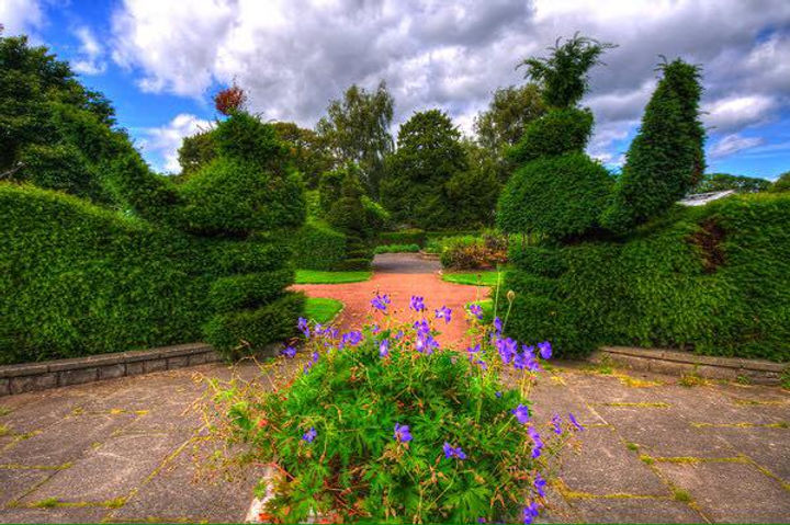 UPDATE: Saughton Park Calendar 2021