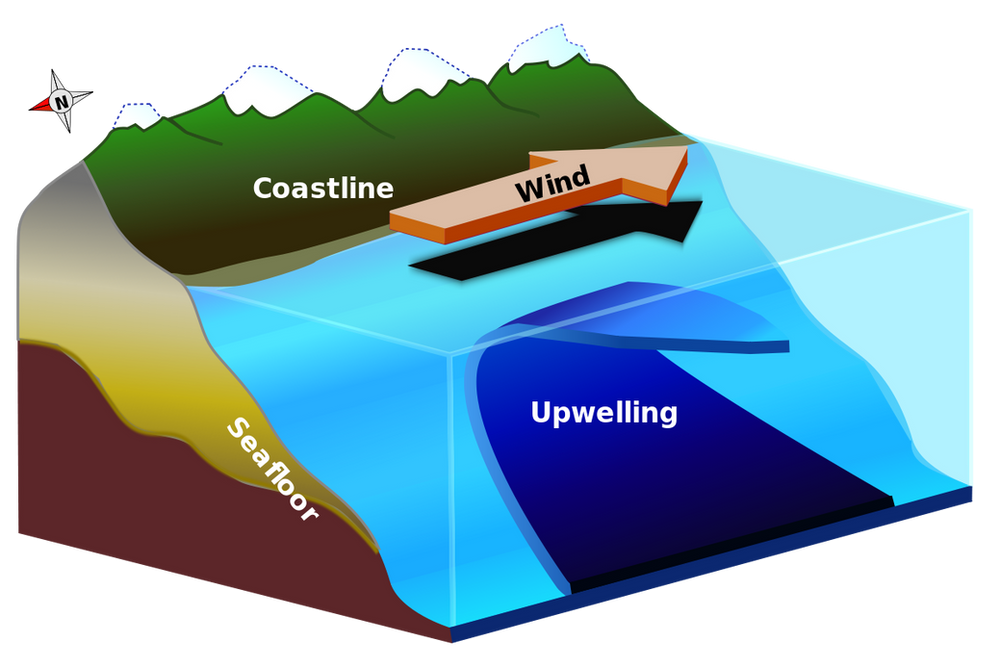 Upwelling e Downwelling
