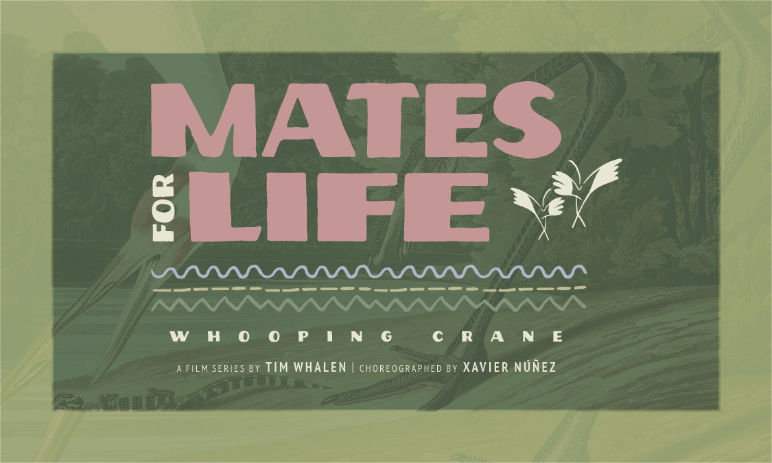 HOME | Mates For Life