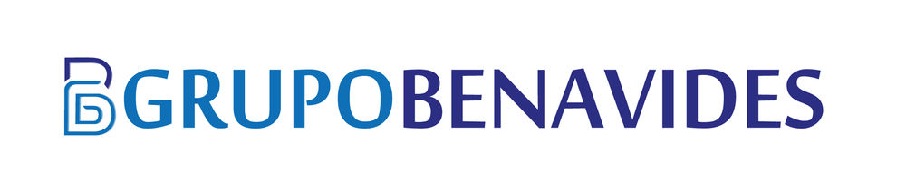 Proyecto Grupo Benavides