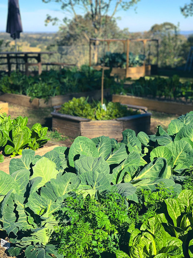 November Field Day and Christmas Party 2023: Maplewood Permaculture Farm