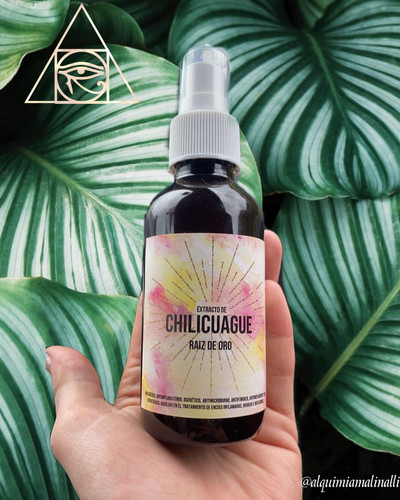 Extracto de Chilcuague (Raiz de Oro) | Alquimiamalinalli