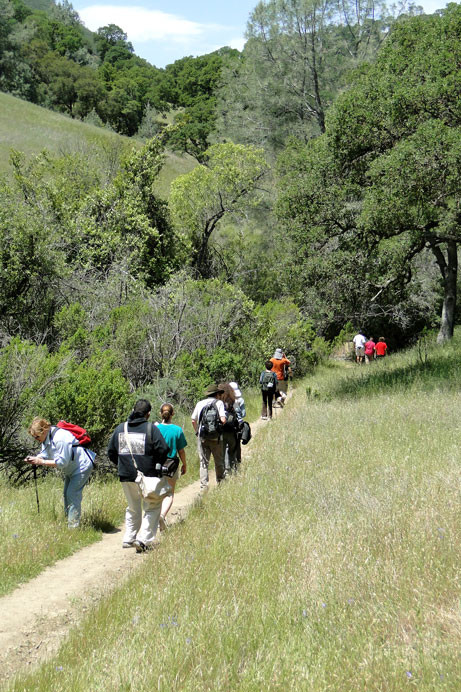 Hiking Mount Diablo | mdia