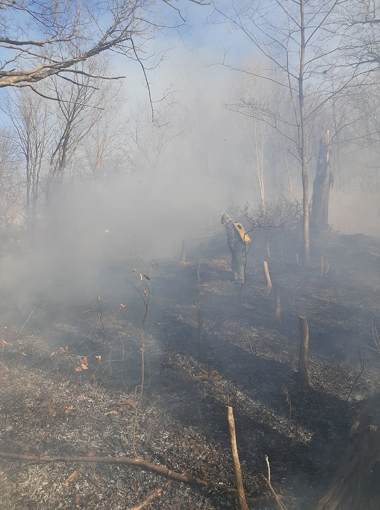 The Hard Work of Healthy Habitats